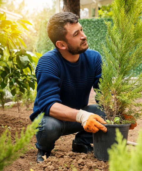 About Us - Clean Cut Lawn & Landscaping