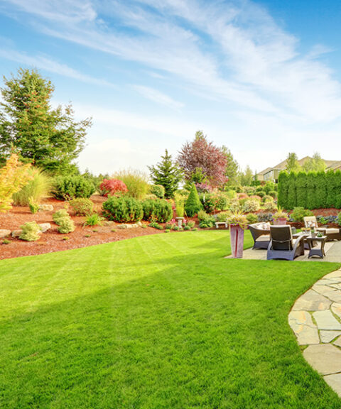 Lawn Care - Clean Cut Lawn & Landscaping