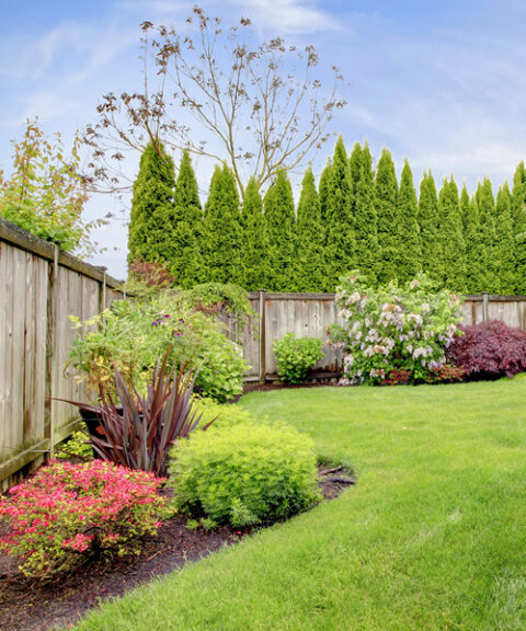 Clean Cut Lawn & Landscaping - Serving Central Minnesota